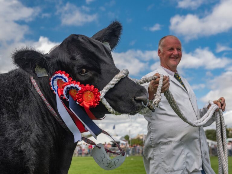 Border Union Show – Aberdeen-Angus Summer National - Aberdeen-Angus ...