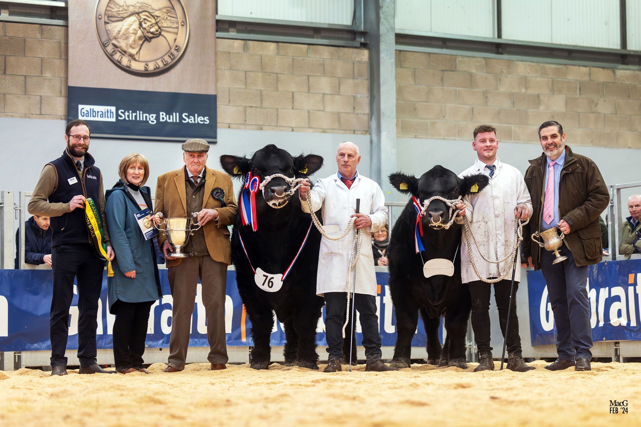 Stirling Bull Sales Report - February 2024 - Aberdeen-Angus Cattle Society