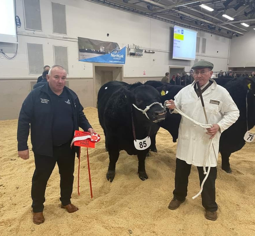 Thainstone Spring Show – Sale Report - Aberdeen-Angus Cattle Society