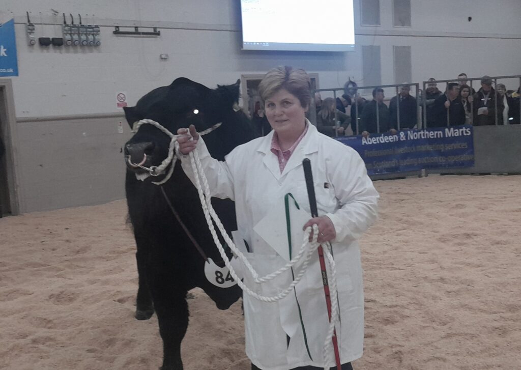 Thainstone Spring Show – Sale Report - Aberdeen-Angus Cattle Society