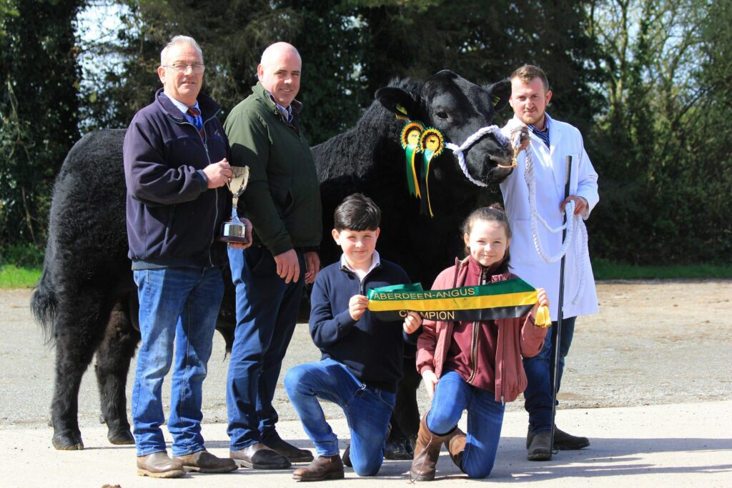 Aberdeen-Angus champion sets 8,400gns record at Dungannon - Aberdeen ...