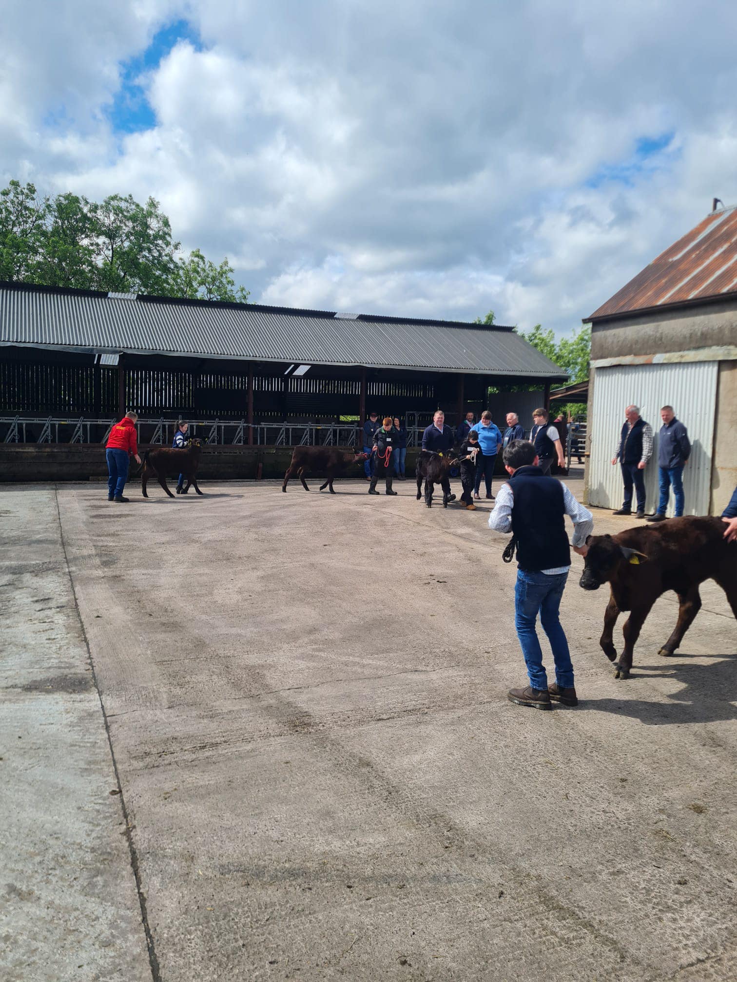 Successful Launch of the 2024 YDP Workshops - Aberdeen-Angus Cattle Society