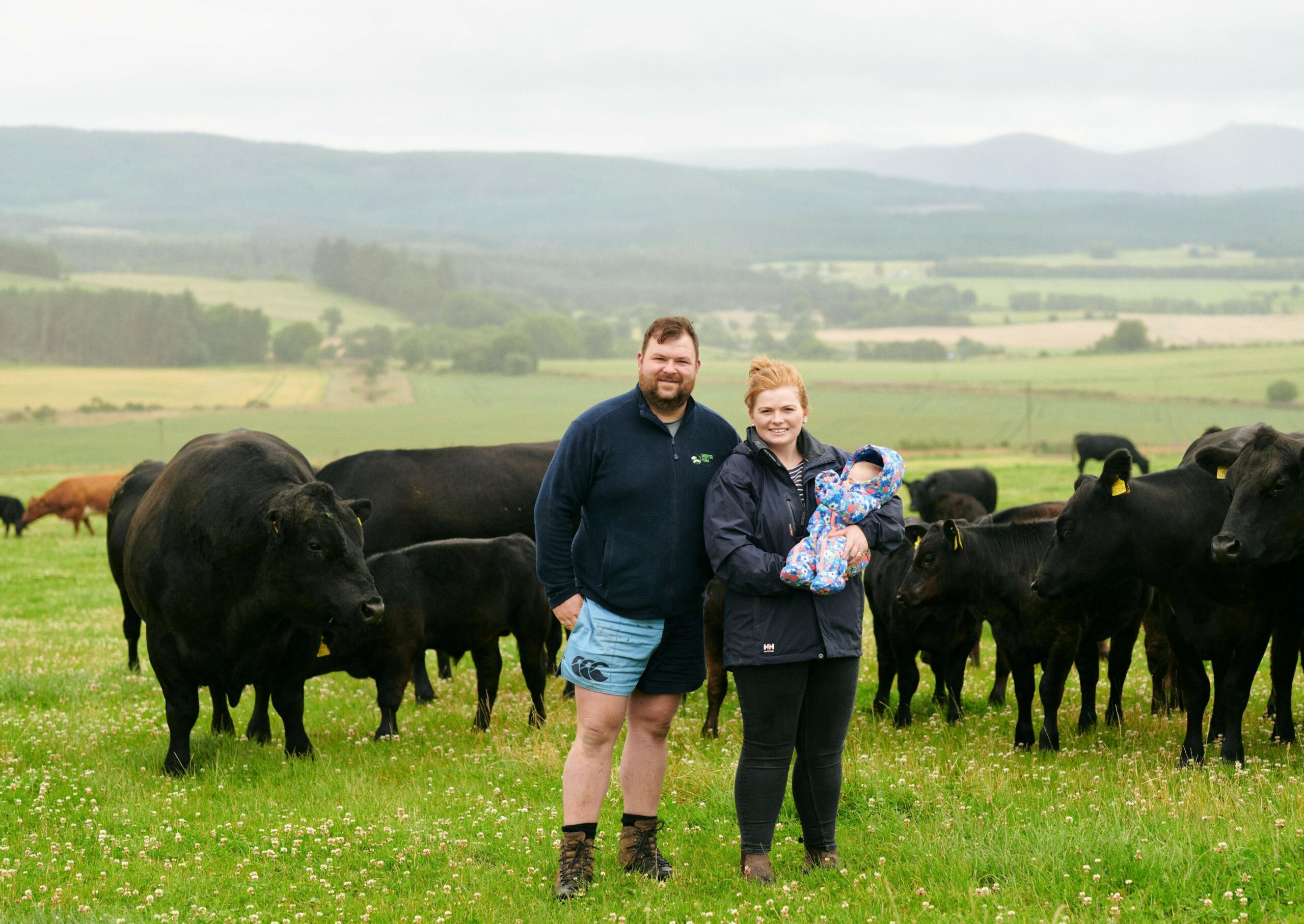 Building a Profitable Suckler Herd with Environmental Credentials ...