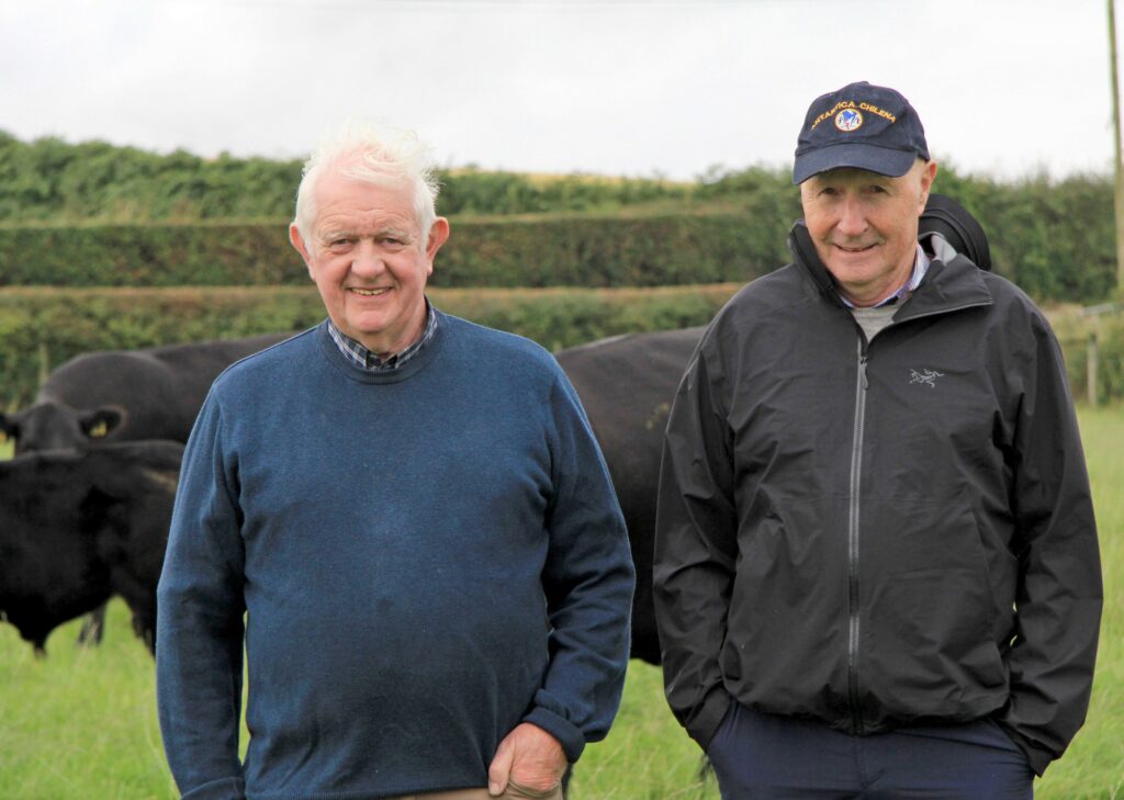 Crowds flock to Aberdeen-Angus open day at Island Farm herd - Aberdeen ...