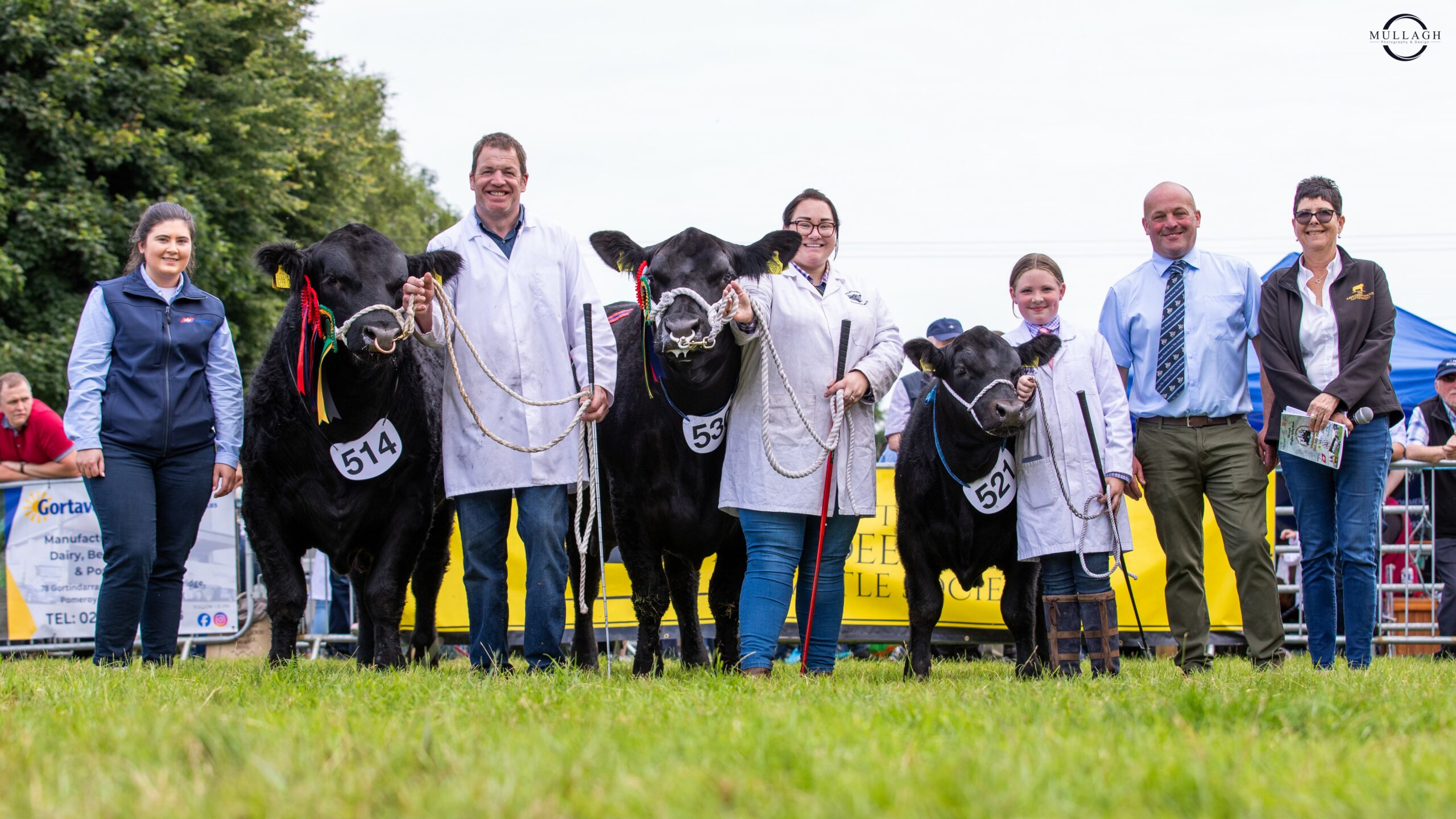 Latest News and Features - Aberdeen-Angus Cattle Society